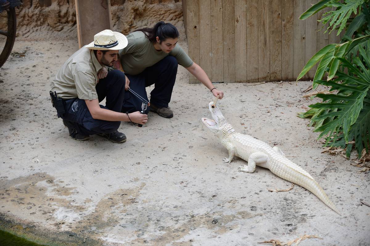 The “Terre de Dragons" | Office de Tourisme de Sud Vienne Poitou